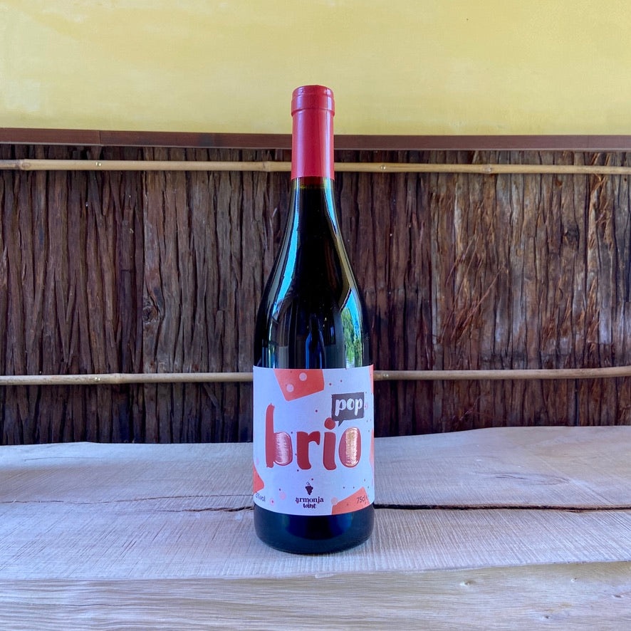 "POP" Brio 2019 l'Armonia / ポップ・ブリオ ラルモニア | Wine & Coffee YOiNE